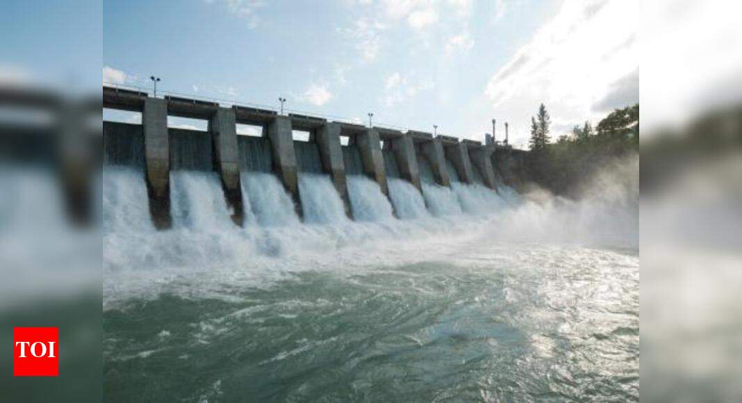 Himalayan Day: Pancheshwar Dam oustees flay Himalayan Day celebration ...