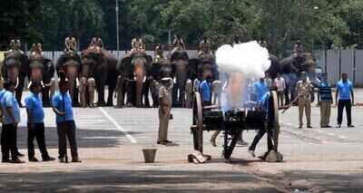 Krishna, Drona, Bheema don’t blink in face of cannon test | Mysuru News ...