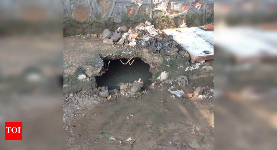 Unsanitary condition in Sector C9, Vasant Kunj - Times of India