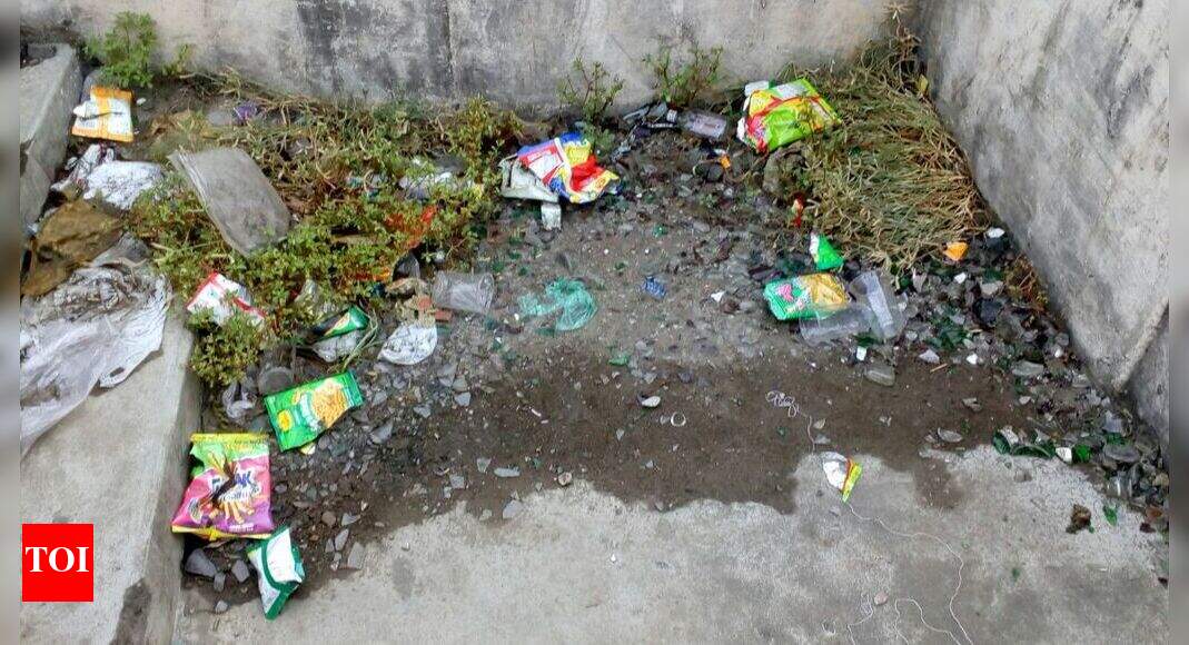 poor maintenance of staircase of manikapur bridge - Times of India