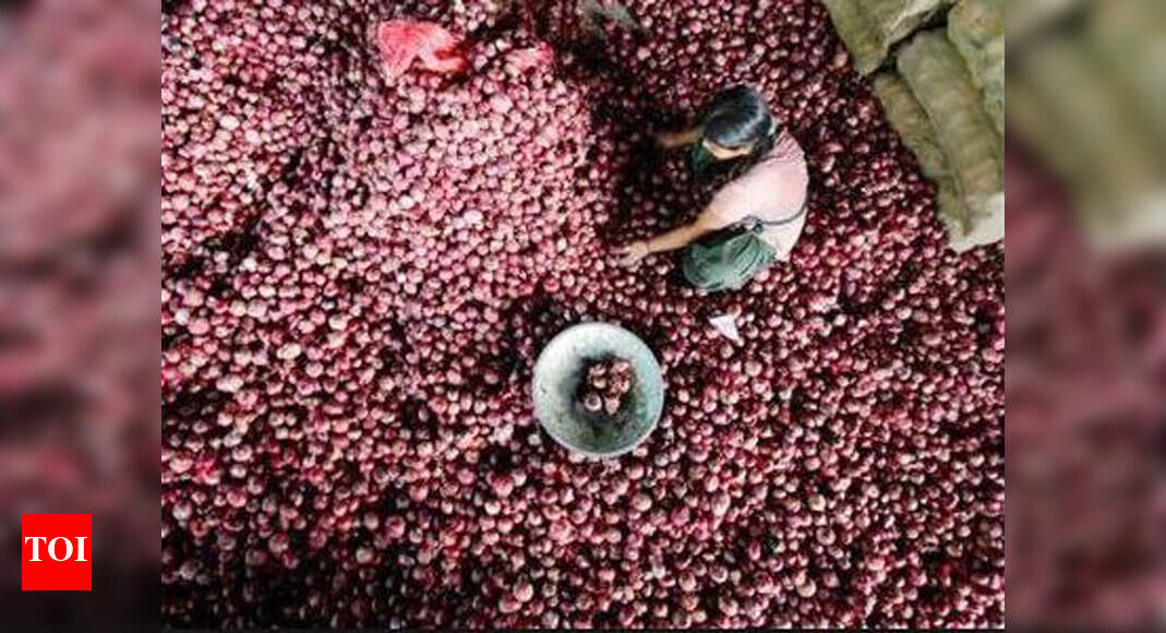 I-T uncovers Nashik onion traders’ hawala deals, Dubai links | India News - Times of India