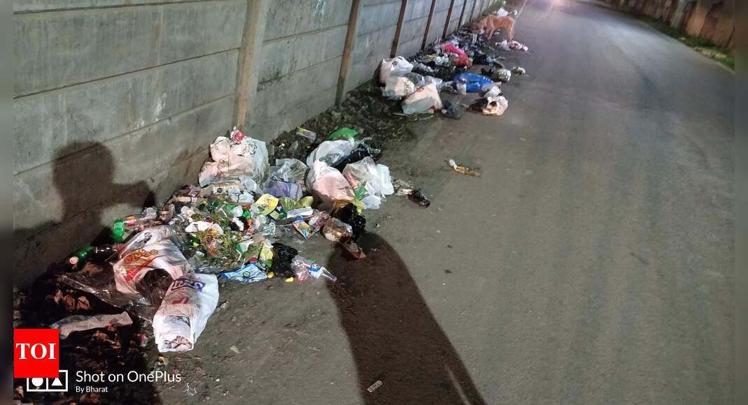 Garbage dumped on road - Times of India