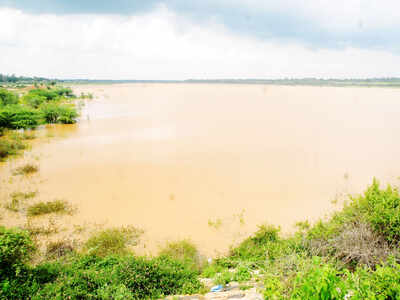 Showers bring Hesaraghatta Lake to life | Bengaluru News - Times of India