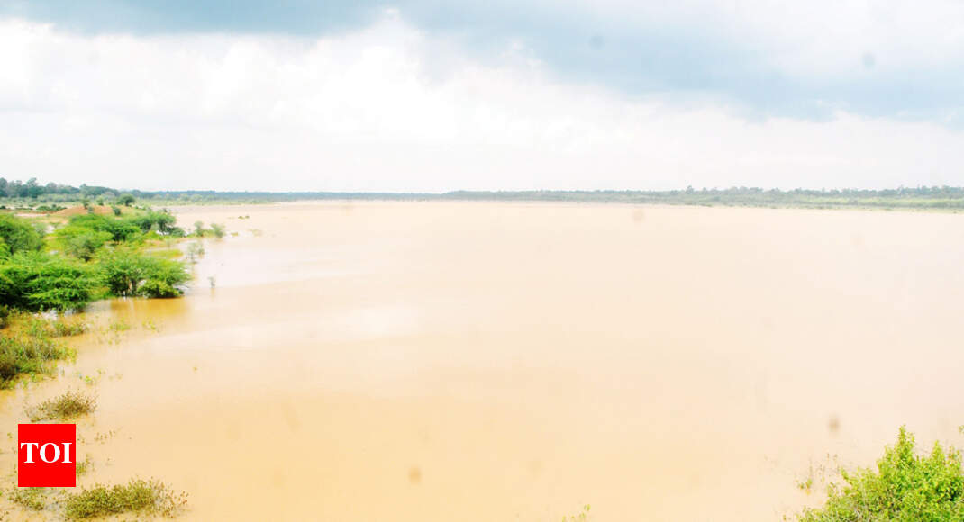 hesaraghatta lake: Showers bring Hesaraghatta Lake to life | Bengaluru ...