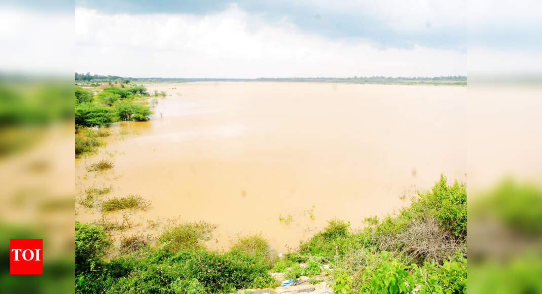 Hesaraghatta Lake: Showers bring Hesaraghatta Lake to life | Bengaluru ...