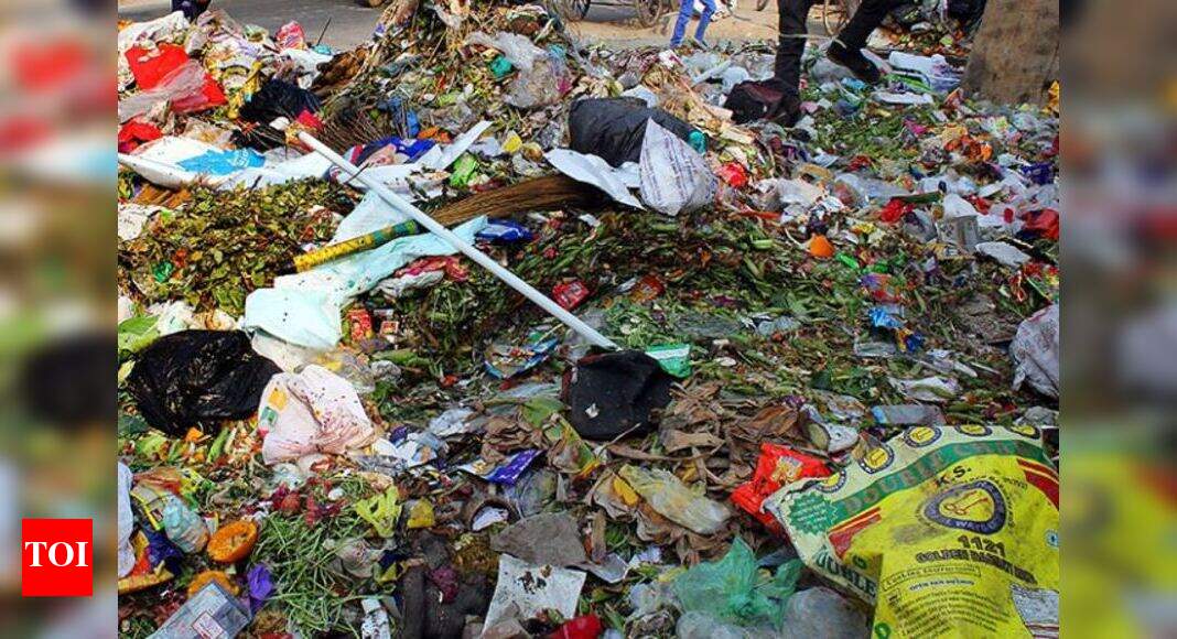 Waste Disposal: Mumbaikars to start wet disposal from Oct 2, BMC hopes ...