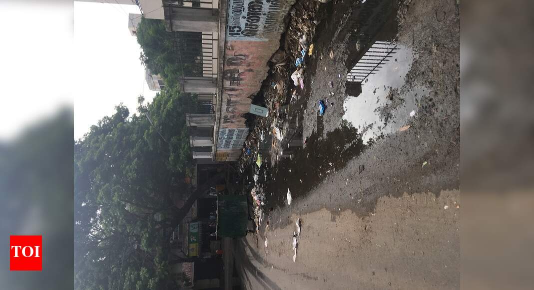 nana street tnagar garbage leading to dengue - Times of India
