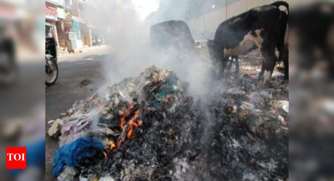 Take steps to stop waste burning, improve air: Delhi's environment ...