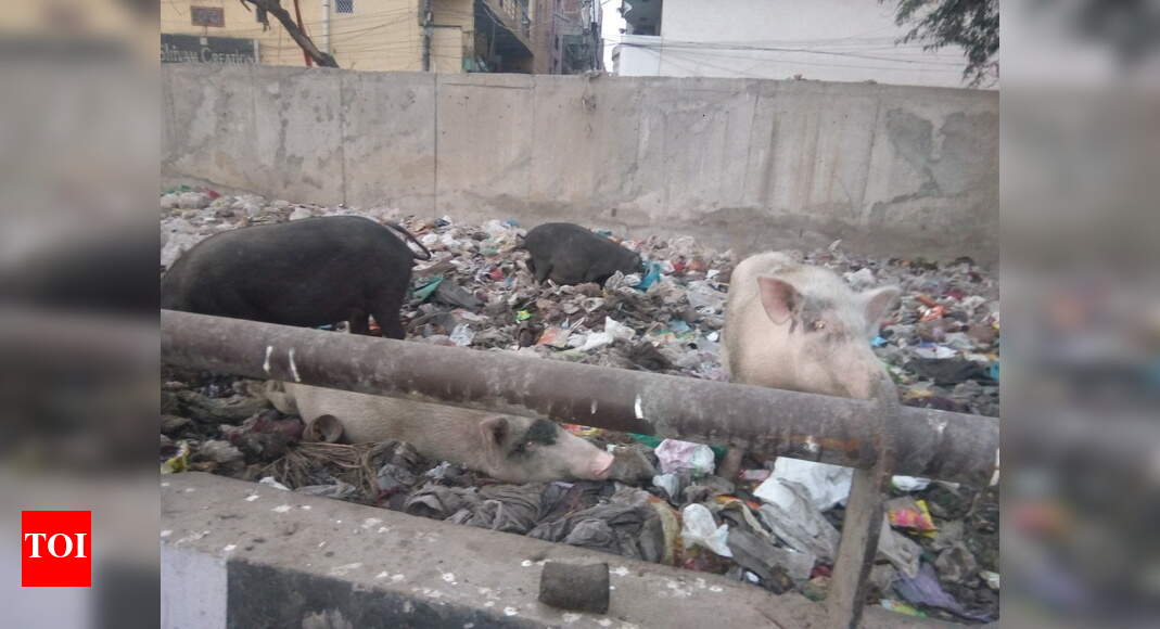 Heaps of garbage on road - Times of India