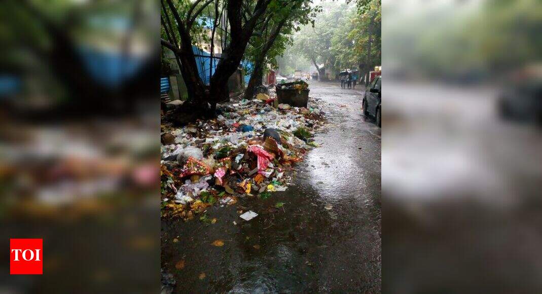 The Garbage road - Times of India
