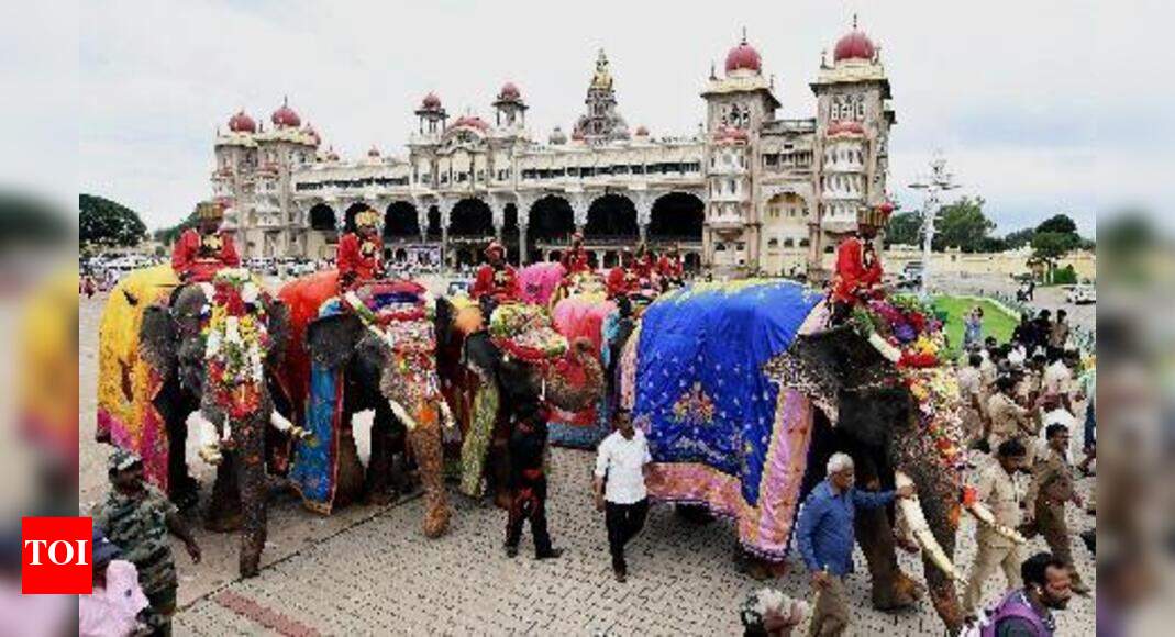 Mysore Dasara - Times of India