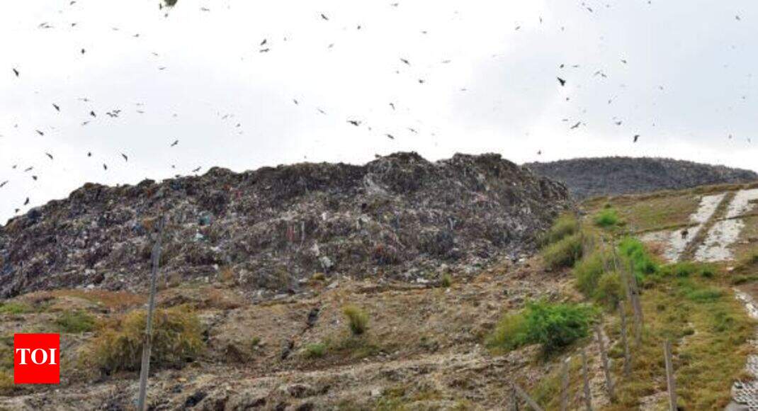 Ghazipur landfill: Coming up at Ghazipur, Delhi’s second mountain of ...