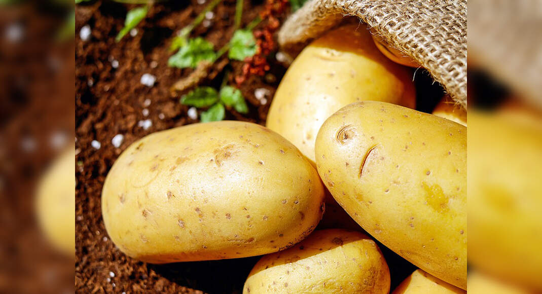 What makes Aloo, the king of veggies