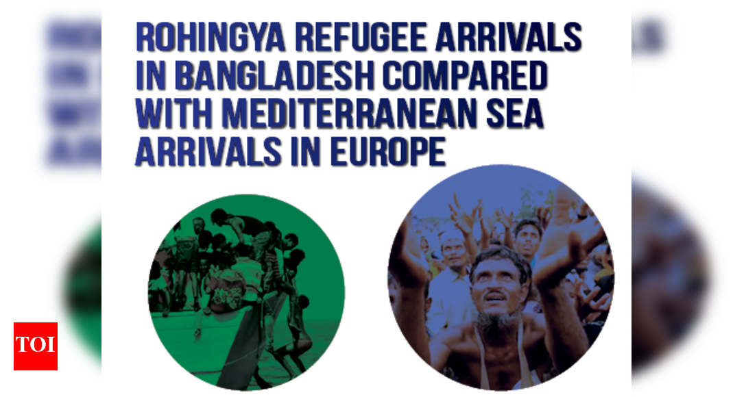 Infographic: The grim scale of the Rohingya crisis | India News - Times ...