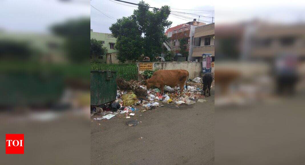 Garbage strewn in middle of street always - Times of India