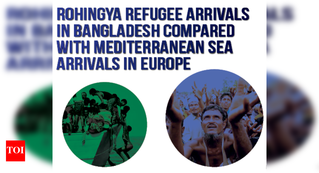 Infographic: The grim scale of the Rohingya crisis - Times of India