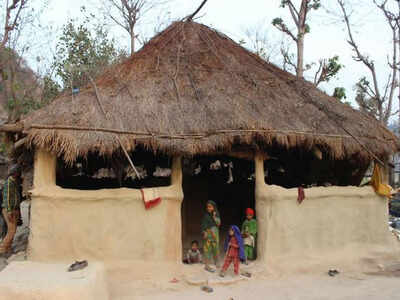 Uttarakhand government making intense efforts for relocation of van ...