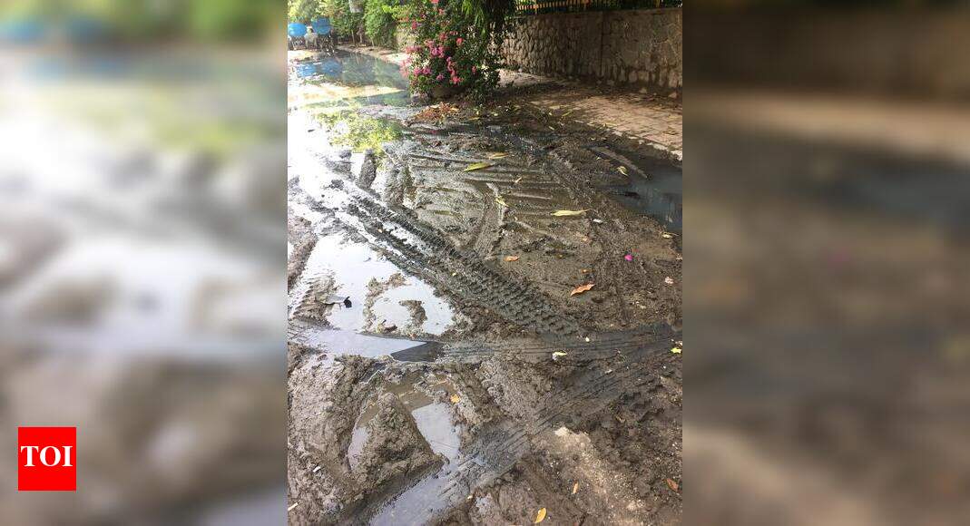 Slush outside posh colony - Times of India