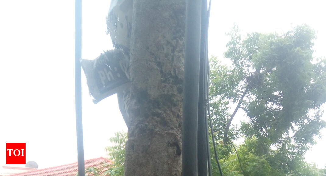 Electric pole or Death pole? - Times of India
