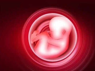 Human hearts form within four days in womb: Study - Times of India