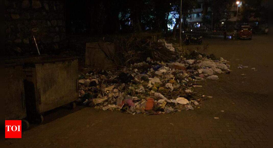 Garbage Strewn Across the Road - Times of India