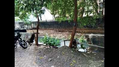 Taking the plunge | Mumbai News - Times of India