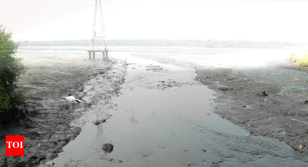 Water bodies near Ooty polluted by industrial effluents | Coimbatore ...