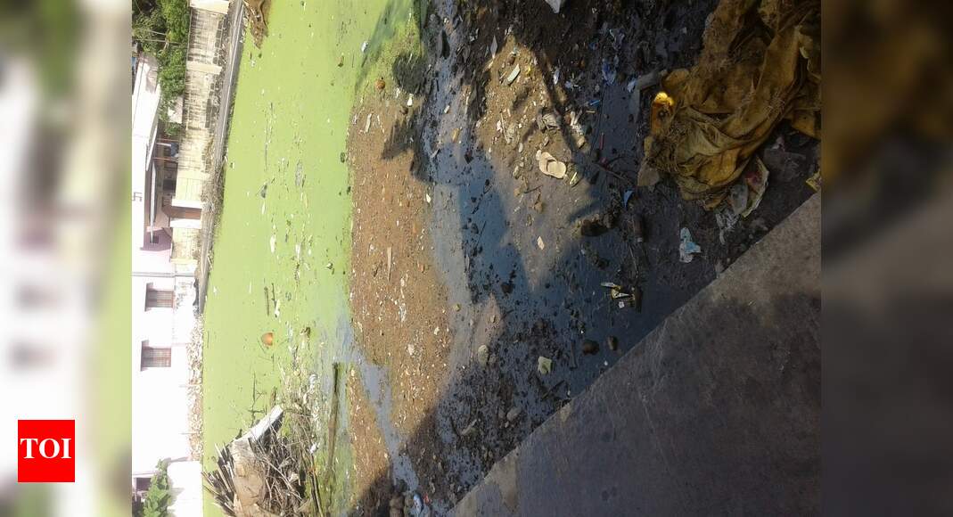 Unbearable Stench annd filthy place - Times of India