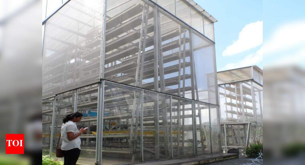 Singapore: Are vertical farms the way forward for Bengaluru ...