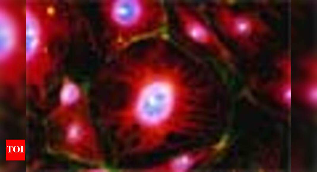 New way to treat cancer using gas bubbles - Times of India