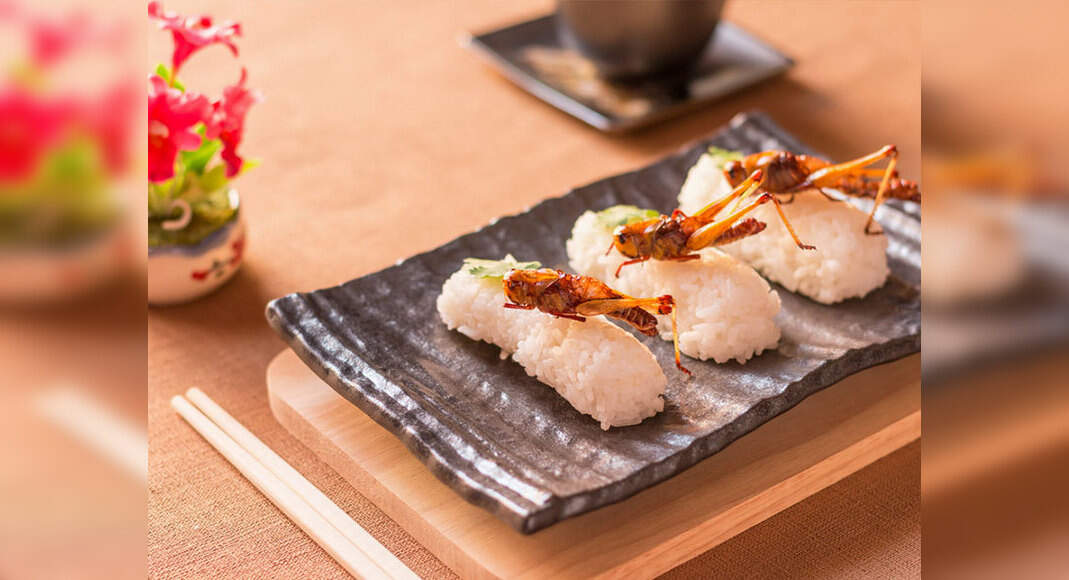 These insects are actually popular delicacies around the world