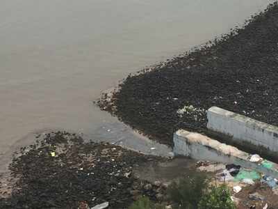 Open Defecation Free OR Free Open Defecation - Times of India