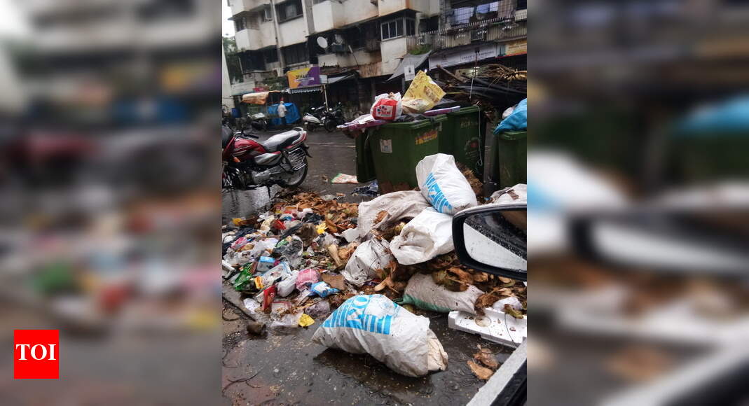 Garbage not collected. Every day scene - Times of India