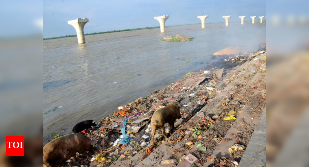 National Mission For Clean Ganga: Centre launches interactive online ...