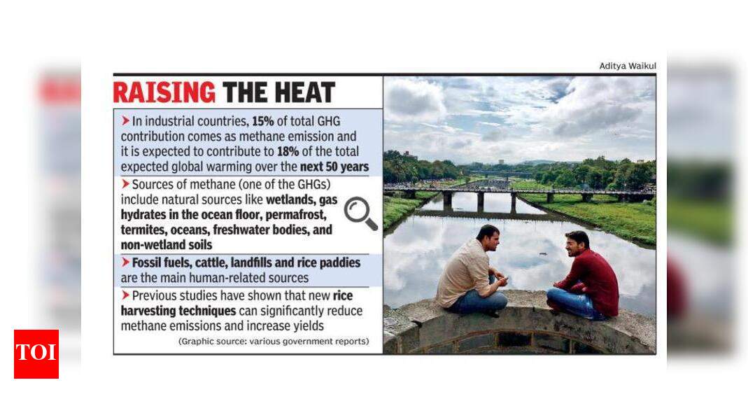 Rate of methane emission in India didn’t rise recently | Pune News ...