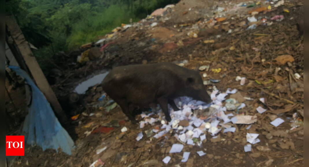 Very ugly situation - Times of India