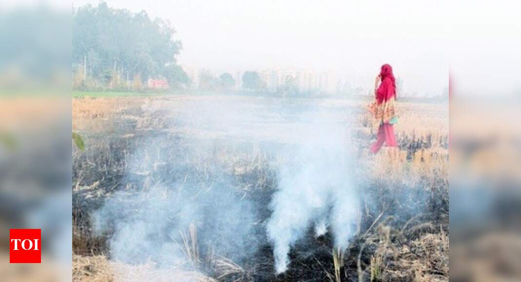 Punjab: 547 crop fire cases in a day after Punjab CM's no penalty talk ...