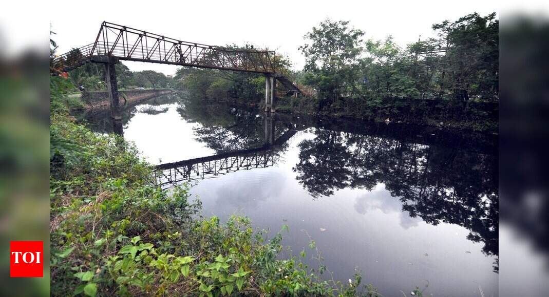 Conolly Canal: Conolly Canal development master plan to be ready in a ...