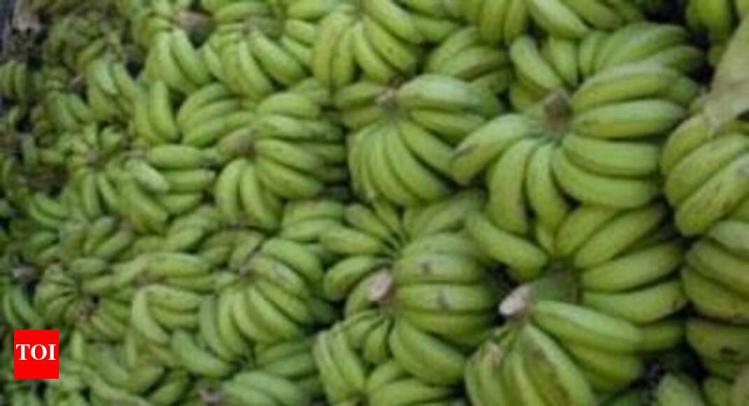 Tamil Nadu's Banana centre inks deal to back Andhra food processing ...