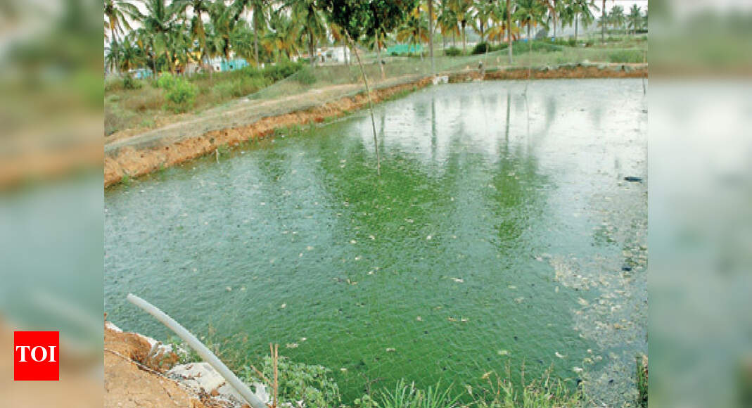 State’s drought ponds turn into death traps for kids, animals ...