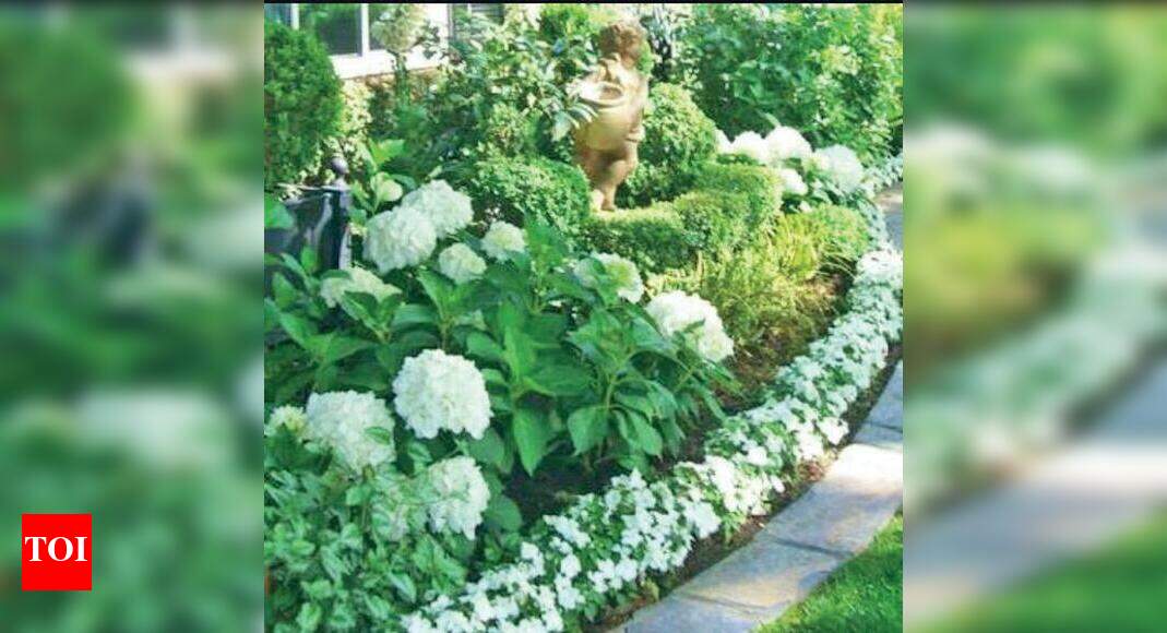 Moon garden promises unique experience to Surat residents | Surat News ...