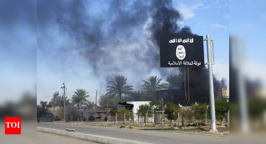 Islamic State: After fall of Raqqa, return of ISIS fighters worries ...