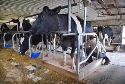 FIAPO wants govts to regulate dairy farms | Chennai News - Times of India