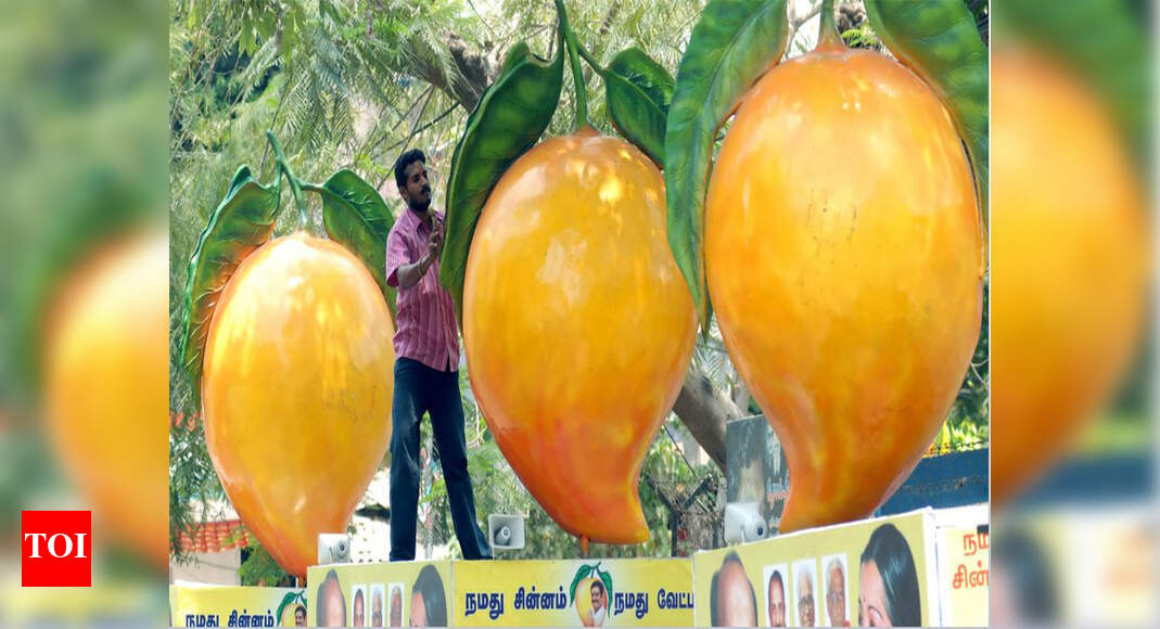 Banners: PMK demands action against ministers, officials | Chennai News ...