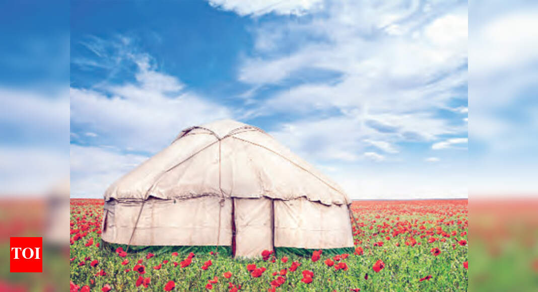 Why you must yurt? - Times of India