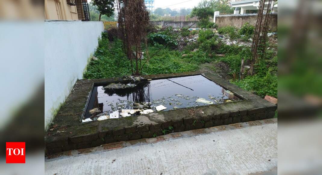 Stagnant water as breeding ground of Dengu - Times of India