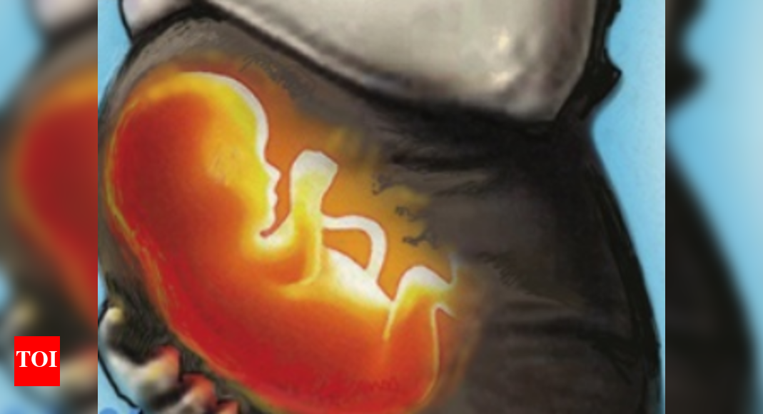 Premature female foetus found in Kota | Jaipur News - Times of India