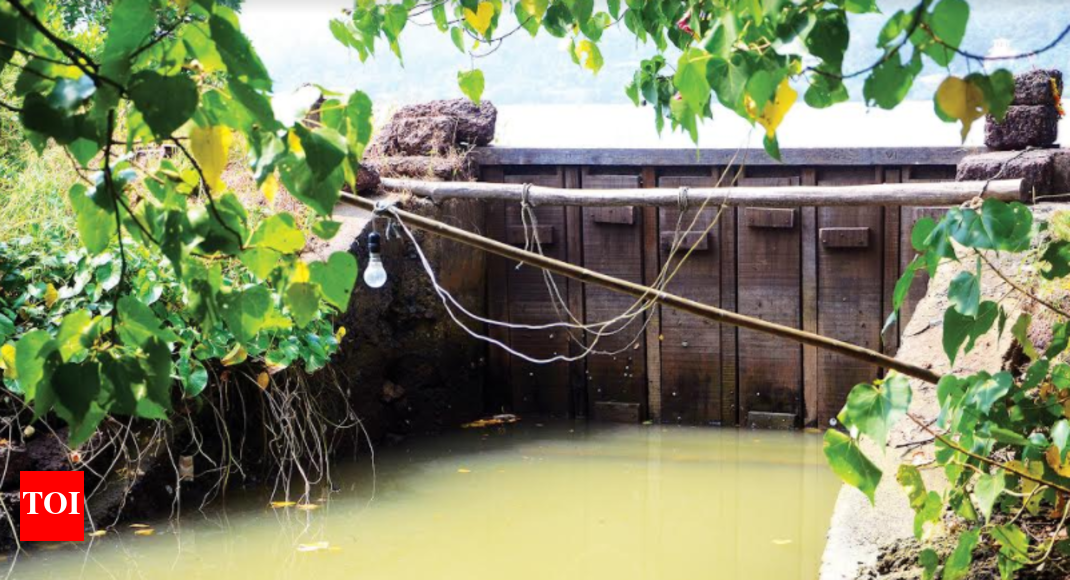 Wonder water gates of Goa that command the tide | Goa News - Times of India