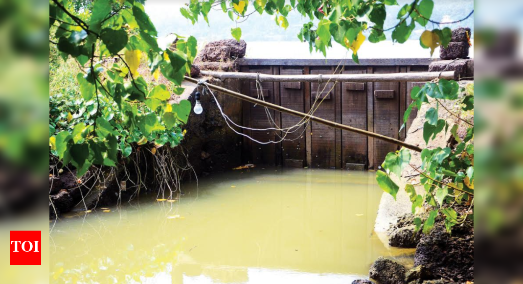 Wonder water gates of Goa that command the tide | Goa News - Times of India