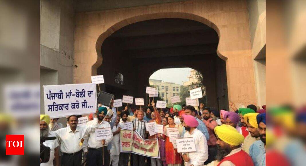 Punjabi language convention pitches for education in mother tongue ...